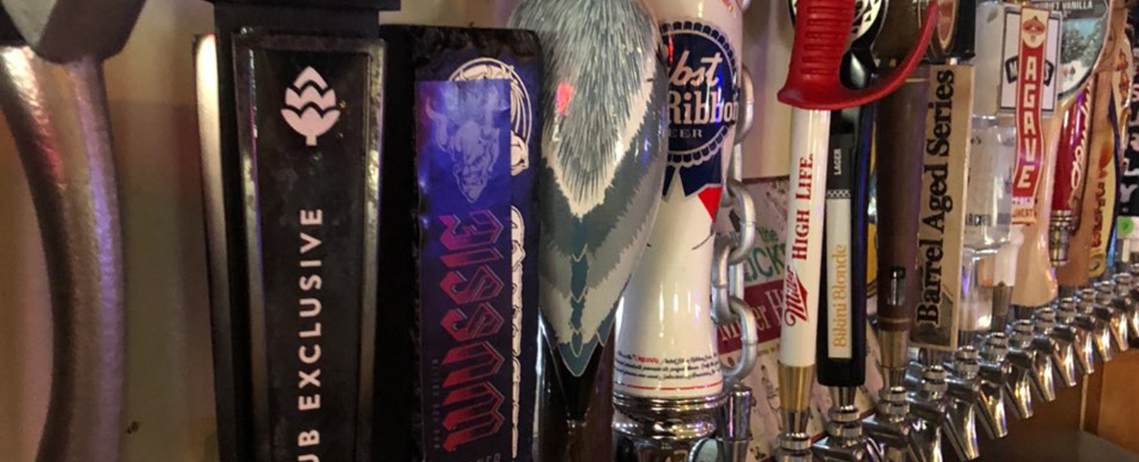 The Mink River Basin